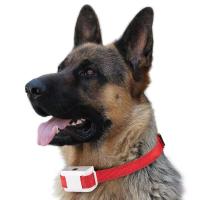 Quality Rechargeable Auto Pet Anti Bark Spray Collar Dog Training Device ABS Material for sale