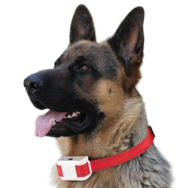 Quality Rechargeable Auto Pet Anti Bark Spray Collar Dog Training Device ABS Material for sale