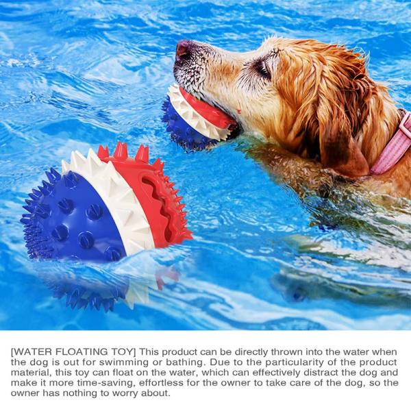 Quality Molar Teeth Resistant Suction Cup Dog Tug Toy TPR Dog Training Squeaky Dog Chew for sale