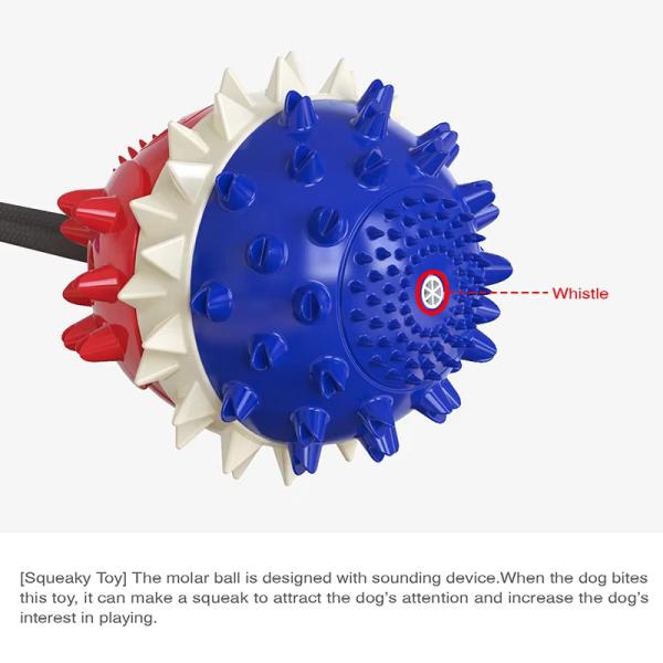 Quality Molar Teeth Resistant Suction Cup Dog Tug Toy TPR Dog Training Squeaky Dog Chew for sale