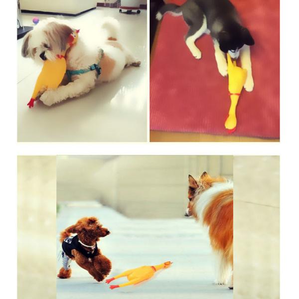 Quality Rubber Screaming Chicken Squeaky Dog Toy Vinyl Funny Bite Training Toys For Dogs for sale