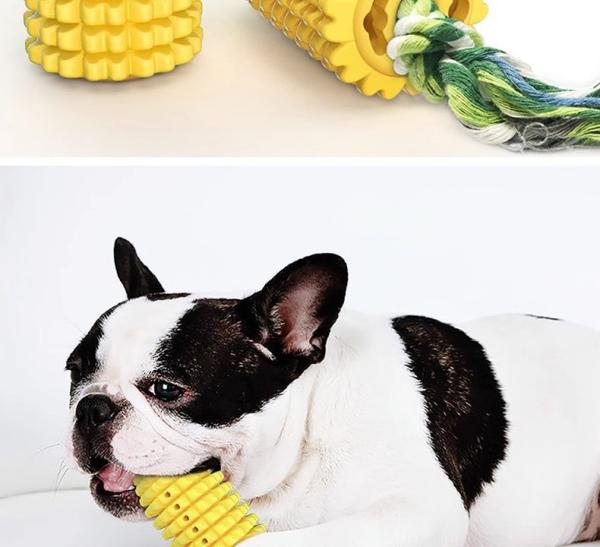 Quality Eco Friendly Dog Treat Dispensing Toy Latex Dog Toothbrush Chew Toy With Cotton Rope for sale