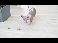 Smart Worm Mouse Shape Pet Toys Interactive Electronic Cat Teaser Toys
