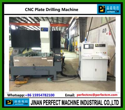 China Tipo perforadora del pórtico del CNC del superventas de la placa usada en la industria de la estructura de acero (PD2012) en venta