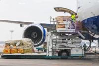 Quality Air Freight Logistics for sale