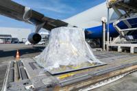 Quality Shanghai International Air Freight Logistics Forwarder Air Cargo CA EY SQ for sale