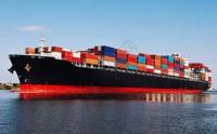 Quality Fast Ocean Freight International Delivery Service Fcl Exclusive for sale