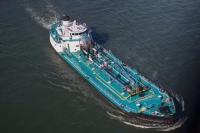 Quality Sea Freight Shipping for sale