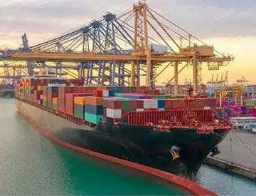 China 7x24H Logistics Warehousing Services In Shekou Port for sale