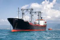 Quality NVOCC Warehousing And Transportation Logistics In Shanghai Port for sale