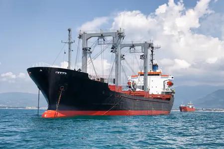 Quality NVOCC Warehousing And Transportation Logistics In Shanghai Port for sale