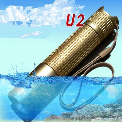 China 1200 Lms Brightness CREE XM-L U2 Lamp Waterproof LED Flashlight/Torch for Hiking for sale