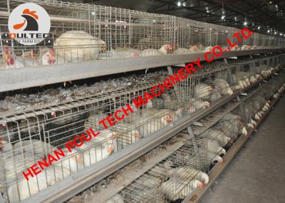 China Broiler Farming Hot Galvanized Chicken Cage & Automatic Broiler Chicken Cage System with Automatic Feeding Machine for sale