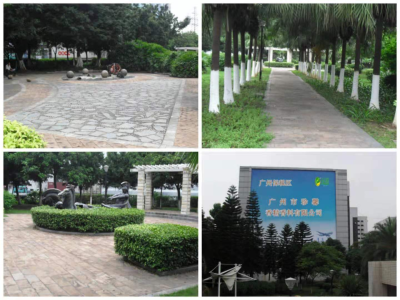 China Sandalwood Branded Perfume Fragrances Perfume Oil For Making Hot Selling Perfume for sale
