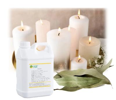China Splendid Popular Eucalyptus Leaves Candle Fragrances For Scented Candle Making for sale