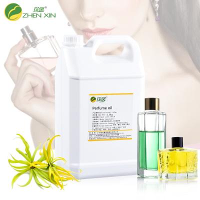 China Girl Fragrance Perfumes Oil Liquid Concentrate With Free Sample 10ml for sale