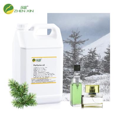 Cina Female Perfume For Women Good Quality Oil Perfume Woody Fragrance in vendita