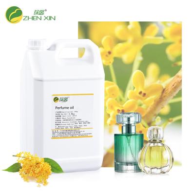 China China Wholesale Top Quality 100 Pure Laurel Perfume Fragrance Oil Used For Perfume Making for sale