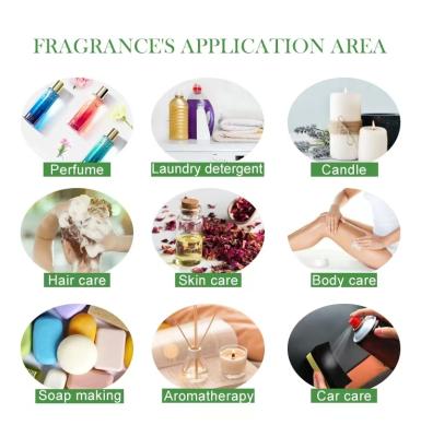 Cina Fabbricazione di profumi profumi olio perfumatore profumo olio perfumatore olio perfumatore floreale in vendita