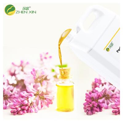 Cina Luxury Organic Perfume Fragrances Essential Oil Alcol Gratis Con campione gratuito in vendita