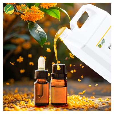 Parfum à l' huile de laurier pure à 100% avec échantillon gratuit
