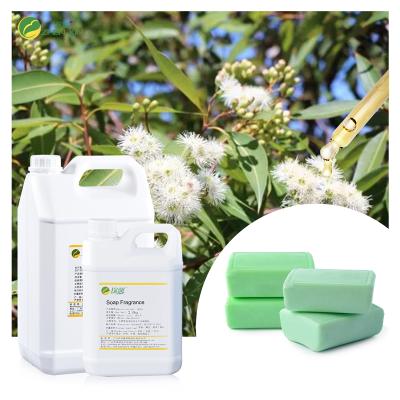 中国 安定性高い石けんの香油 - 石けん用のユーカリの香油 販売のため