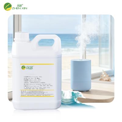 China High Quality Sea Breeze Scented Oil for Diffusers Perfume Essential Oil in Bottle Diffuser Aroma Oil for sale