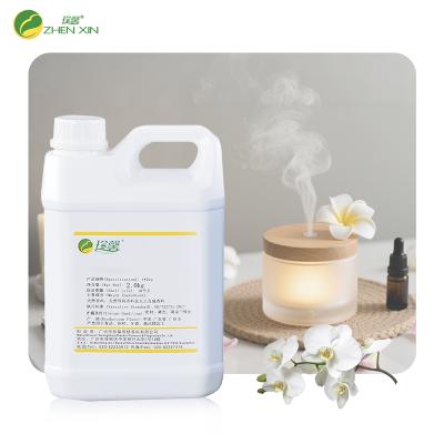 China Vanilla Scented Oil in Bottle Perfume Oil for Aroma Diffuser Essential Oil in Drum for sale