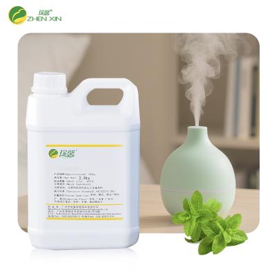 China Concentrated Aroma Chemic Fragarnce and Scent Mint Scented Oil in Bottle for Aromatherapy Diffusers for sale