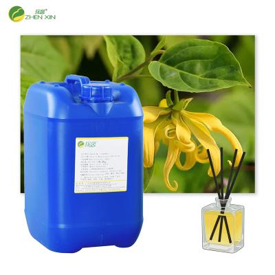 ylang ylang tree
