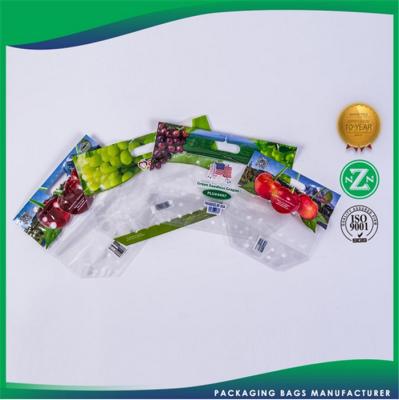 China Rekupereerbare Plastic Douane Gedrukte Verpakkende Zakken voor Voedsel/Kledingstukken/Kruidenierswinkel Te koop