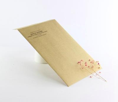 Cina CMYK che stampa il corriere Packing Bags di Kraft 9.5x14.5cm in vendita