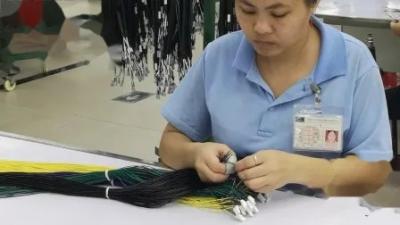 China Customized Tooling Can Bus Wire Harness for Eyewatch with 5m Length Over 10 Conductors and ISO9001 IATF16949 Certified for sale