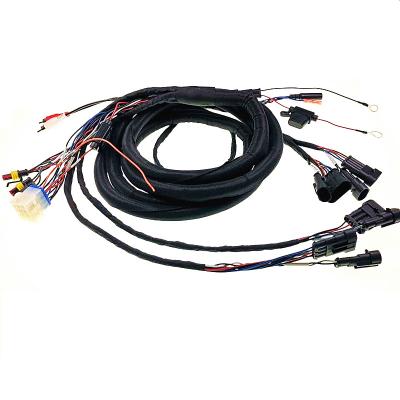 China Customized Tooling Can Bus Wire Harness for Eyewatch with 5m Length Over 10 Conductors and ISO9001 IATF16949 Certified for sale
