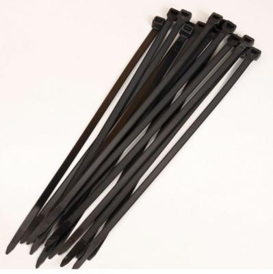 China 250mm Black Self Locking Plastic Cable Tie Pa66 Disposable Cable Wire Ties for sale