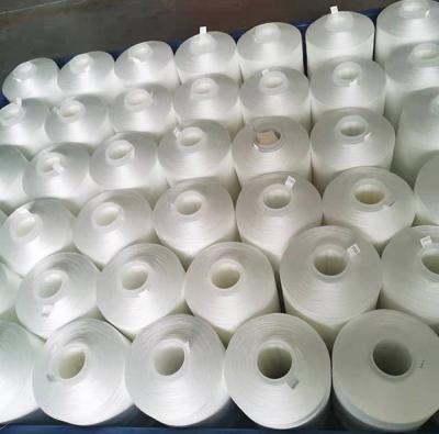 Cina Filo bianco crudo molle 120D/2 del ricamo del poliestere di bobina 100% pronto per tingere in vendita