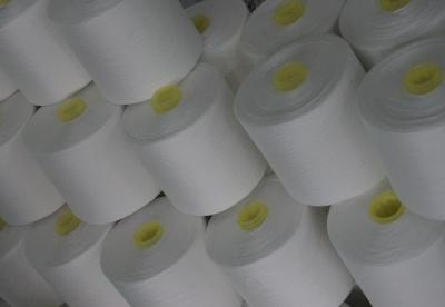 Cina TFO 30S/3 ha filato il modello bianco crudo del filo del poliestere per il cucito con il CERTIFICATO di OEKO TEX in vendita