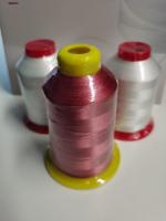 China 5000m 70D/2 Polyester Filament  Embroidery Thread for sale