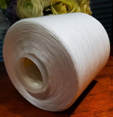 Cina OEKO ha tinto i colori 40/2 di filo del poliestere filato 100 per la macchina per cucire in vendita