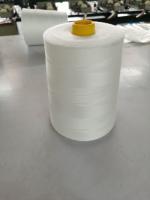 China Garment Sewing 40S/2 135gram 100 Polyester Thread for sale