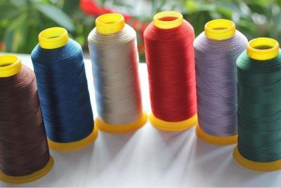 Cina Il filo 150D/2 AAA del ricamo del rayon del poliestere 100 classifica il colore 8 in vendita