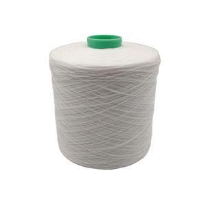Cina Uguaglianza del GRADO di Ring Spun Recycled Polyester Thread 20s-60s aa in vendita
