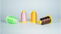 China 3000M 120D/2 Polyester Embroidery Thread for high speed multi-head computer for sale