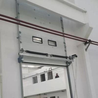 Panneau sectionnel supérieur à distance électrique de porte pour le parc logistique