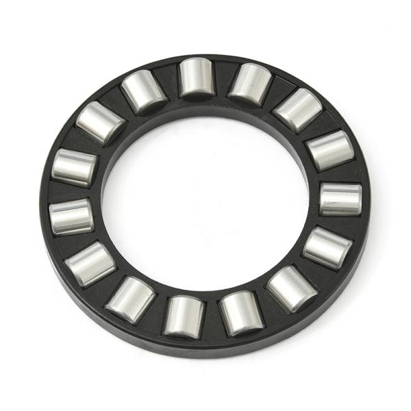 Quality Anti Rust Thrust Roller Bearings Thrust Cylindrical Roller Bearing With Nylon Cage for sale