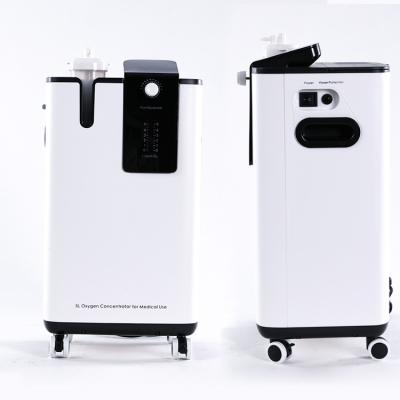 중국 송풍기를 가진 5 Lpm 산소 집중 장치 발전기 220V 50HZ 판매용
