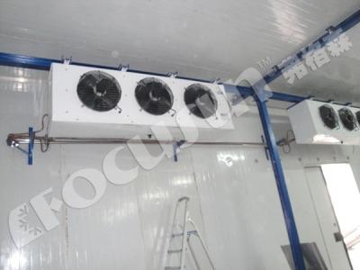 Cina Compressore Bitzer Camera frigorifera per la conservazione del ghiaccio solare in vendita