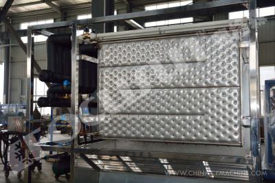 Cina 220v / 50hz macchina di ghiaccio a piastre con video di uscita-ispezione in vendita