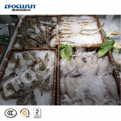中国 ビッツァー・コンプレッサー 1 トン フレイク氷を作る機械 小容量の氷生産 販売のため
