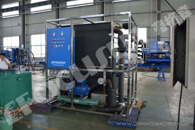 Cina 220v / 50hz macchina di ghiaccio a piastre con video di uscita-ispezione in vendita